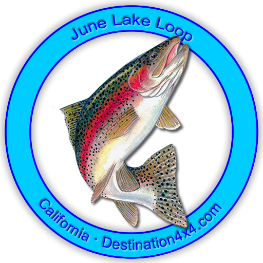 June Lake Campground - Destination4x4